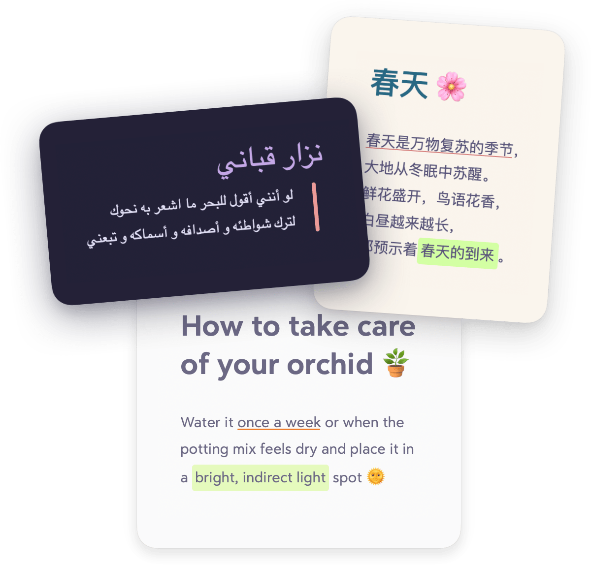 Bear - Markdown Notes